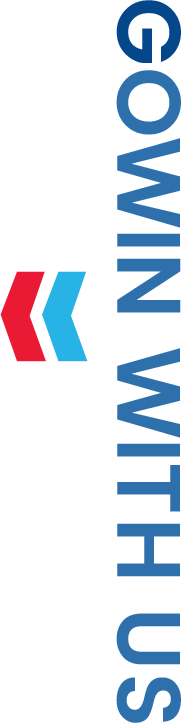 Leading Industrial Valve Manufacturer in China | Gowin