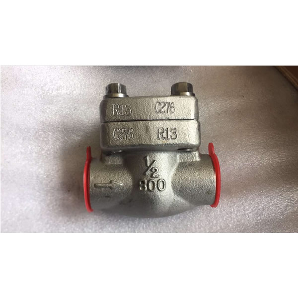 Lift Type Check Valve - GOWIN