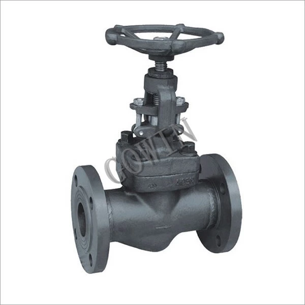Carbon steel globe valve - GOWIN