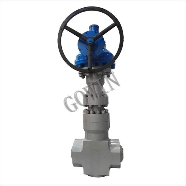 Forging Globe Valve - GOWIN